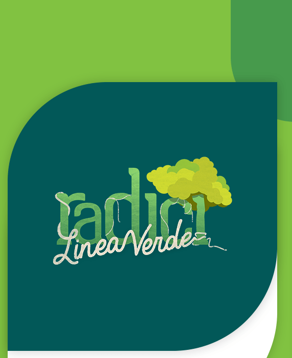 linea verde